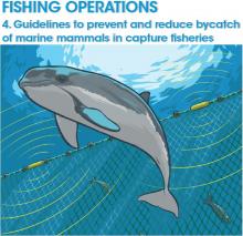 Home | Bycatch Management Information System (BMIS)